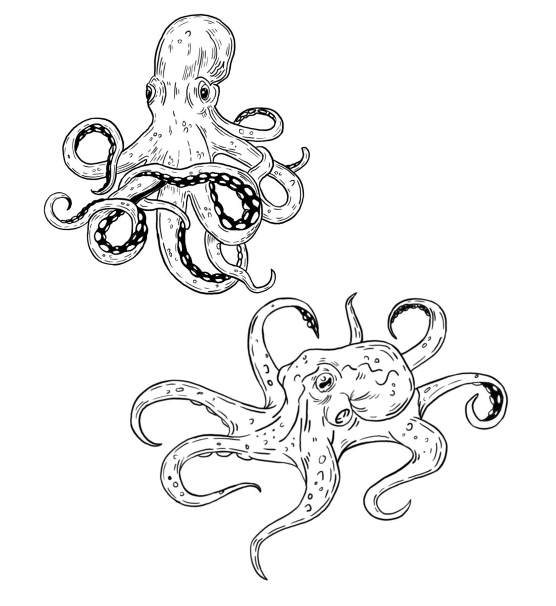 Tattoo Uploaded By Jay Jay Moon • Octopussy • Tattoodo