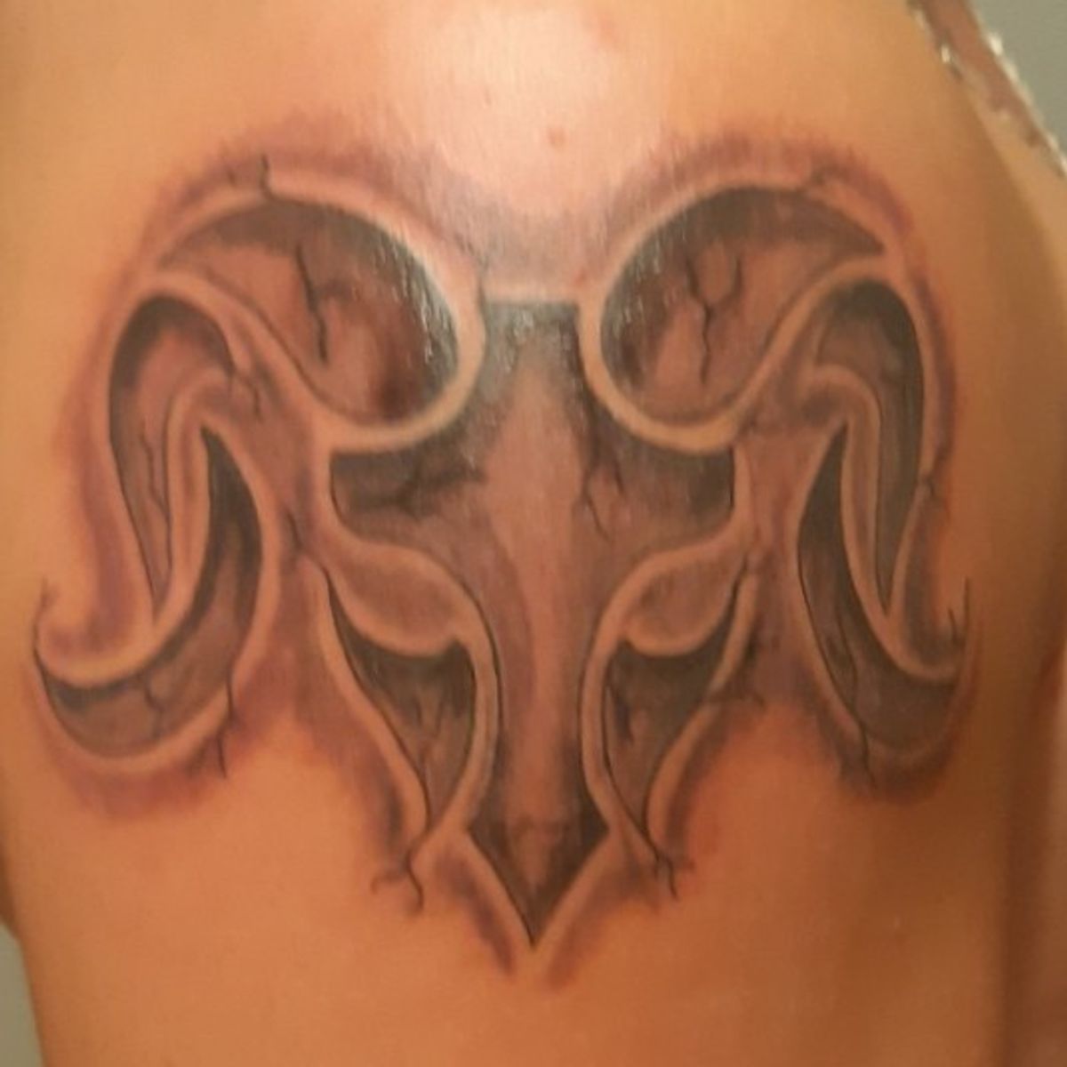 Tattoo uploaded by Organic Inks • #Ramhead #stone #indented • Tattoodo