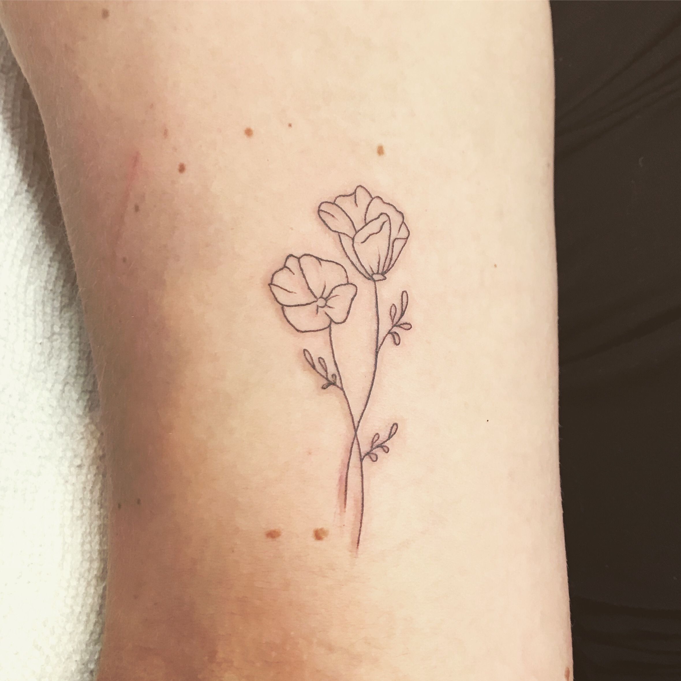 Tattoo uploaded by Bre Co • Tattoodo