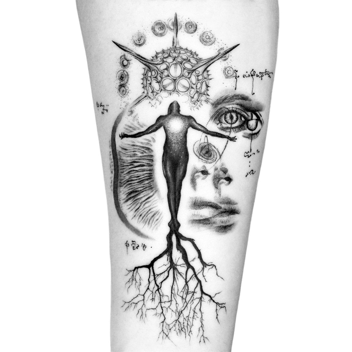 Tattoo uploaded by Peter Laeviv • “In ordinary perception, the senses ...
