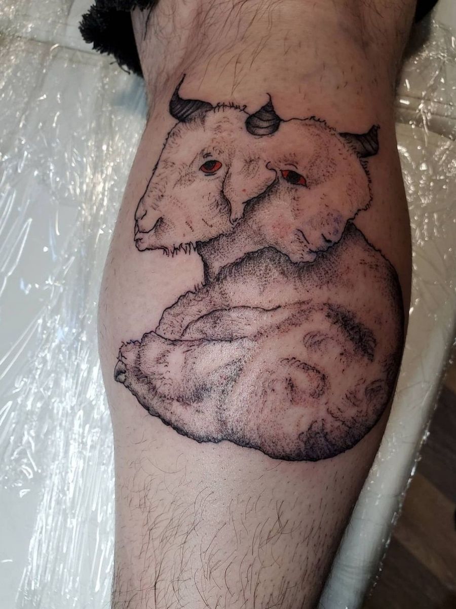Tattoo uploaded by momo carter • Two headed lamb • Tattoodo