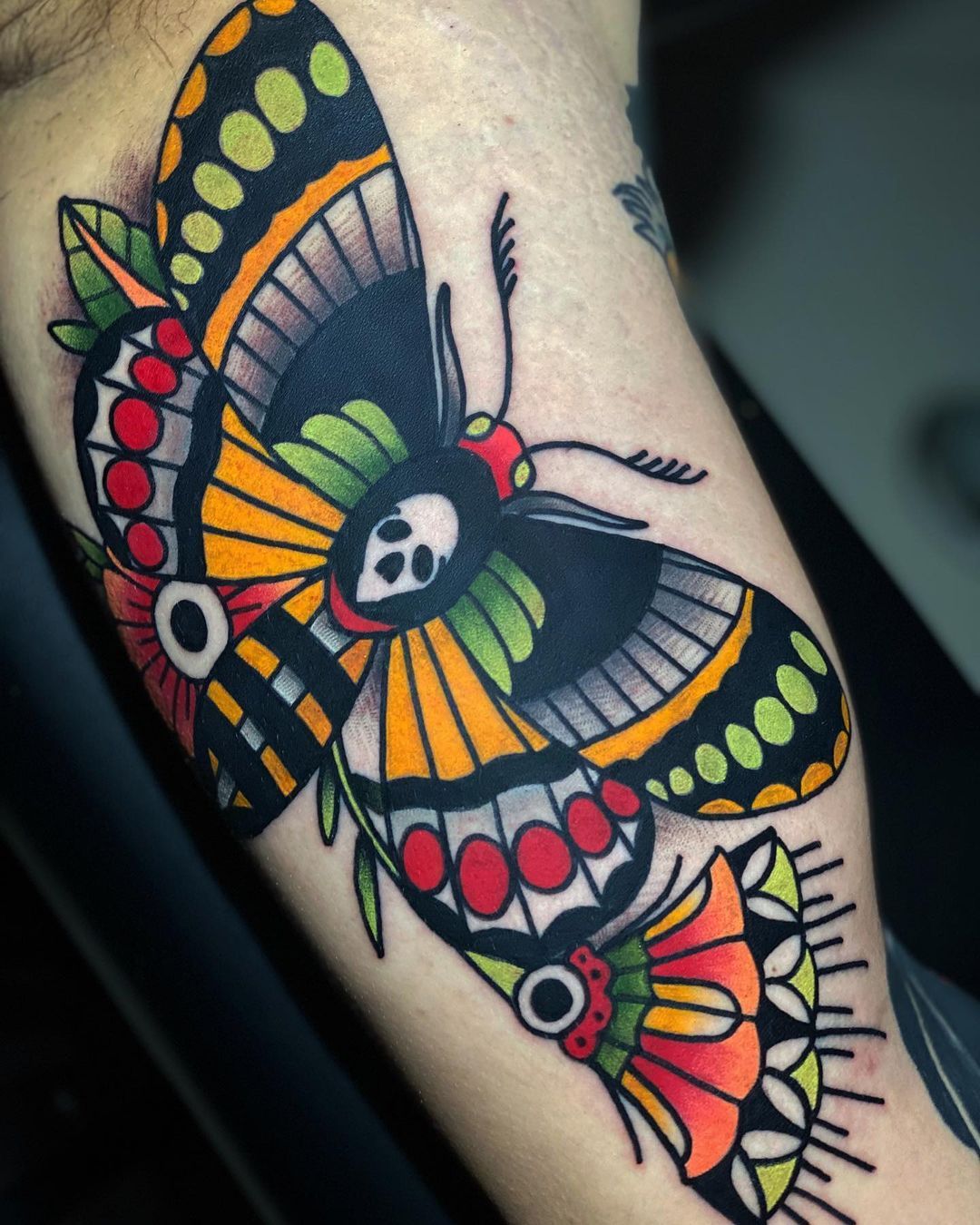 Traditional Moth and Skull Tattoo • Tattoodo