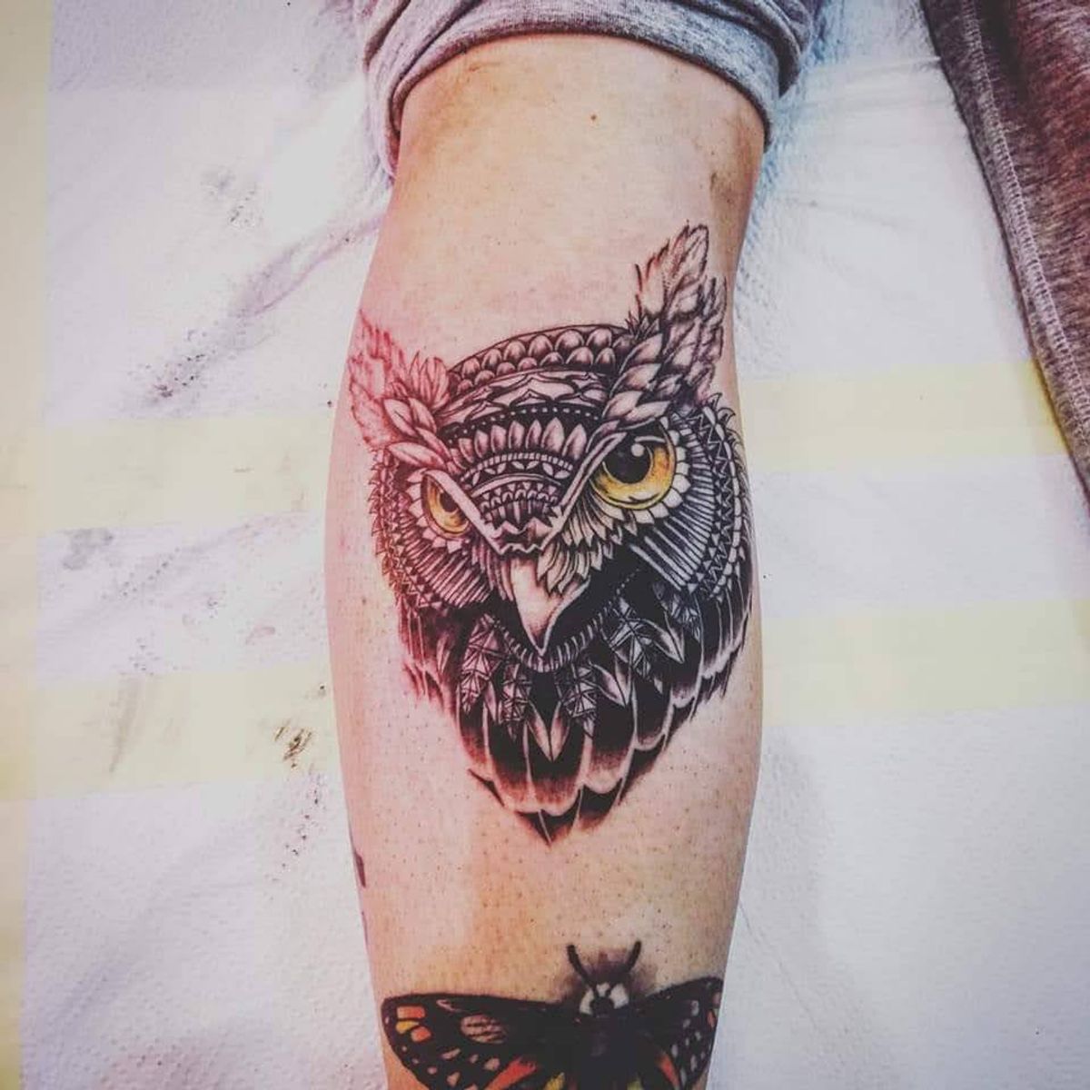 Tattoo uploaded by Damion Olivier • Neo trad owl All done • Tattoodo