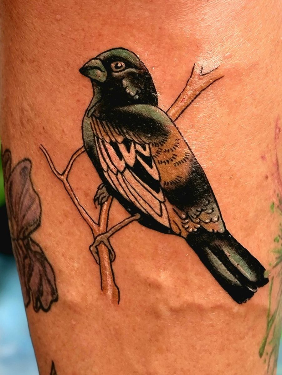 Tattoo uploaded by josh bowman • Colorado Lark • Tattoodo