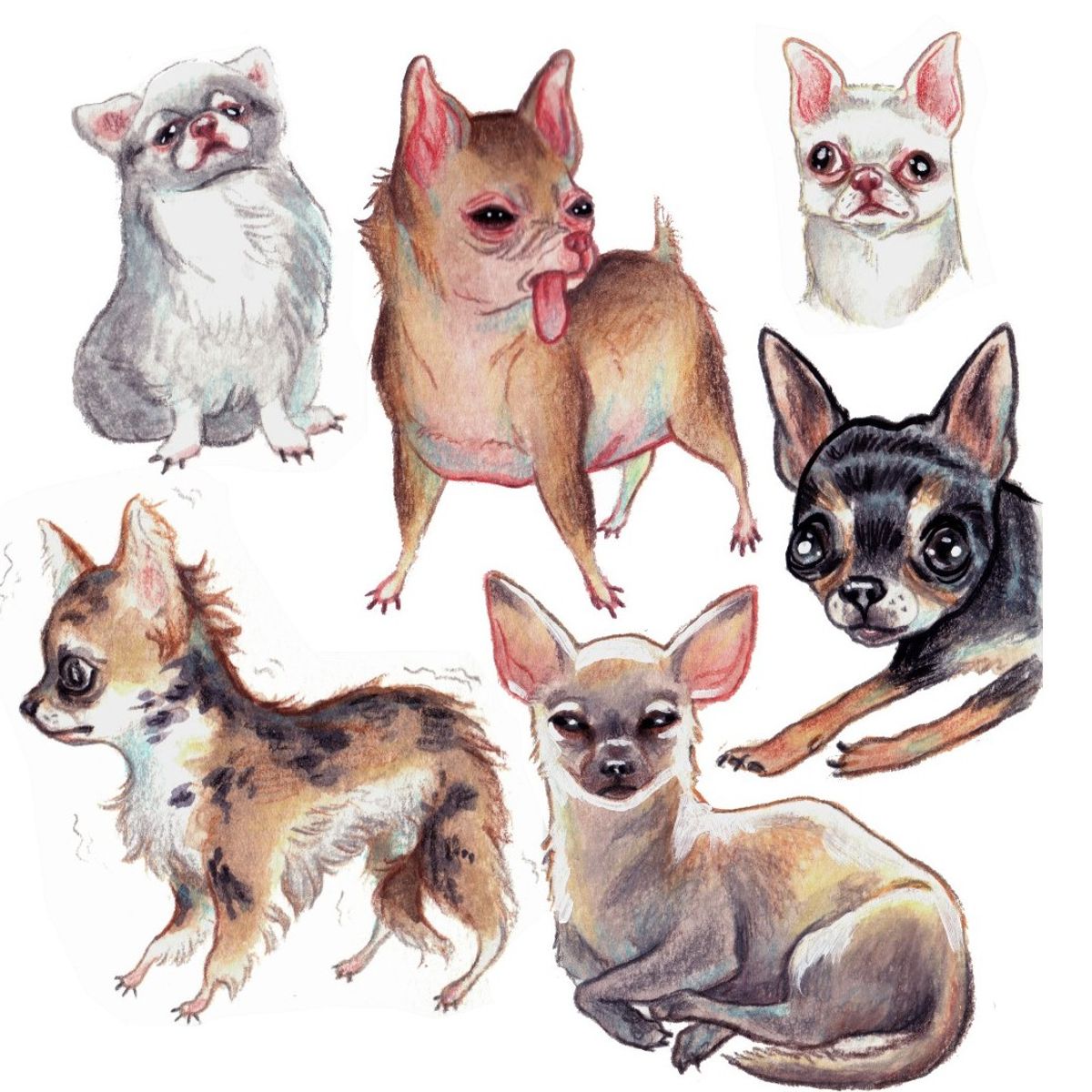 Tattoo uploaded by Blue J • Homunculi . . . #petportrait #chihuahua # ...