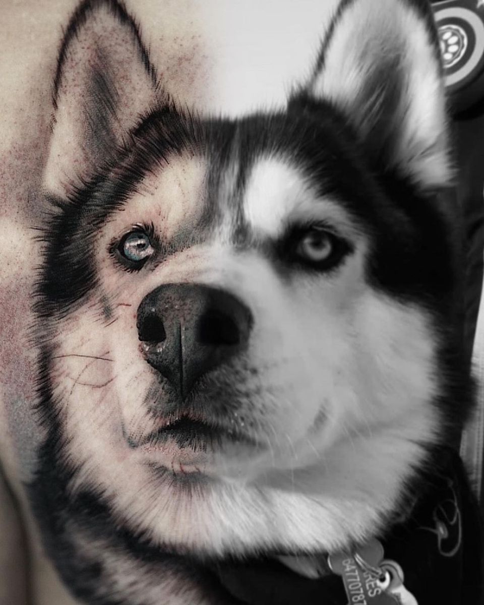 Tattoo uploaded by Daniel Luzardo • Tattoodo