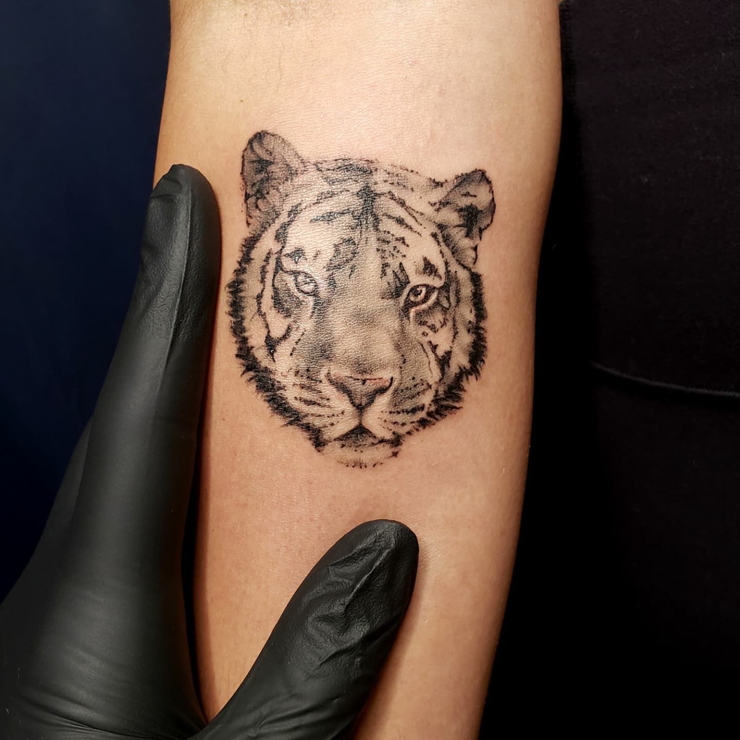Tattoo uploaded by Avacyn • Tattoodo