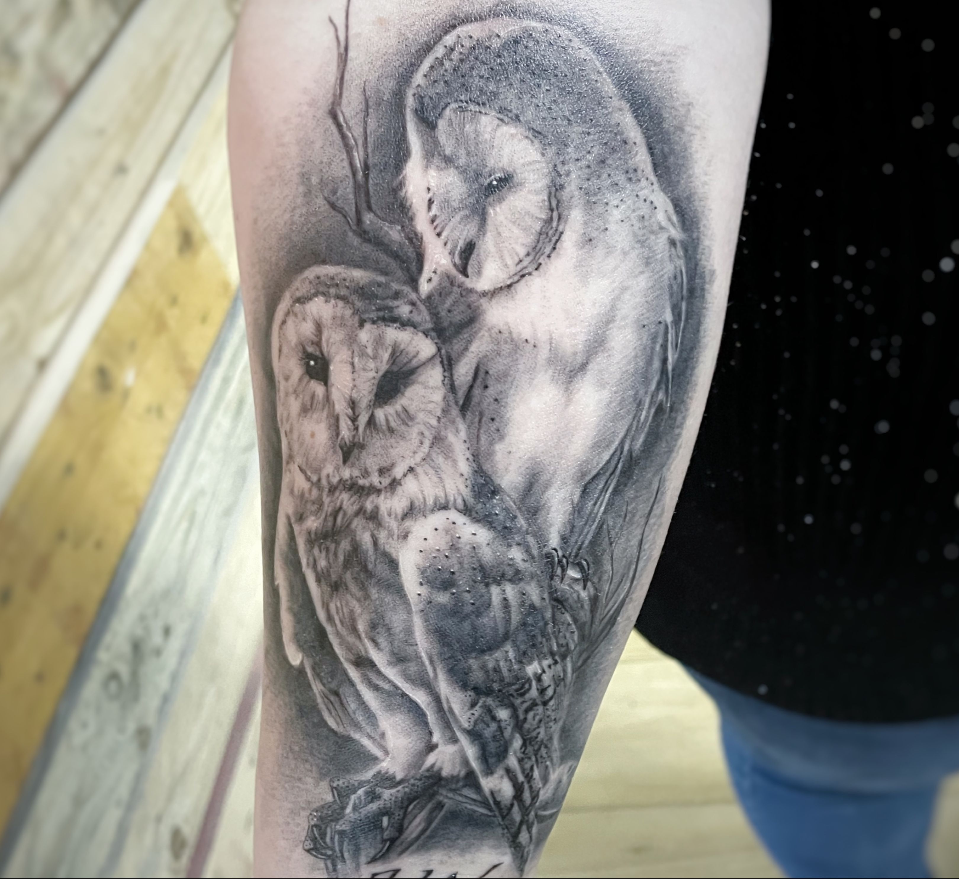 Barn Owl Tattoo