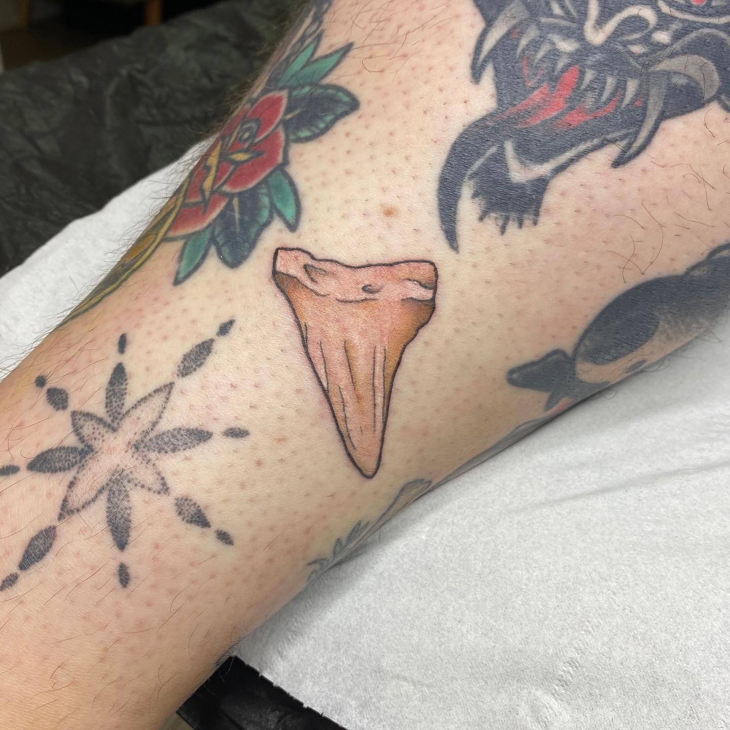 Illustrative Shark Teeth Tattoo • Tattoodo