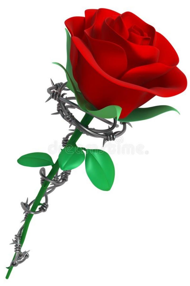 Tattoo uploaded by Simon Lawless • Tattoodo