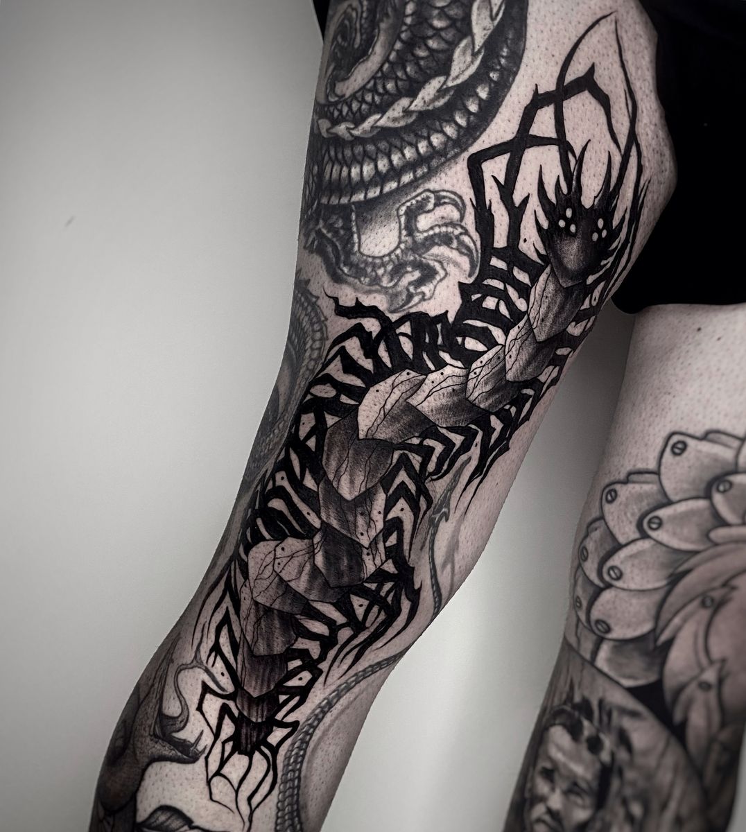 Tattoo uploaded by Southgate SG Tattoo & Piercing Studio • • Centipede ...