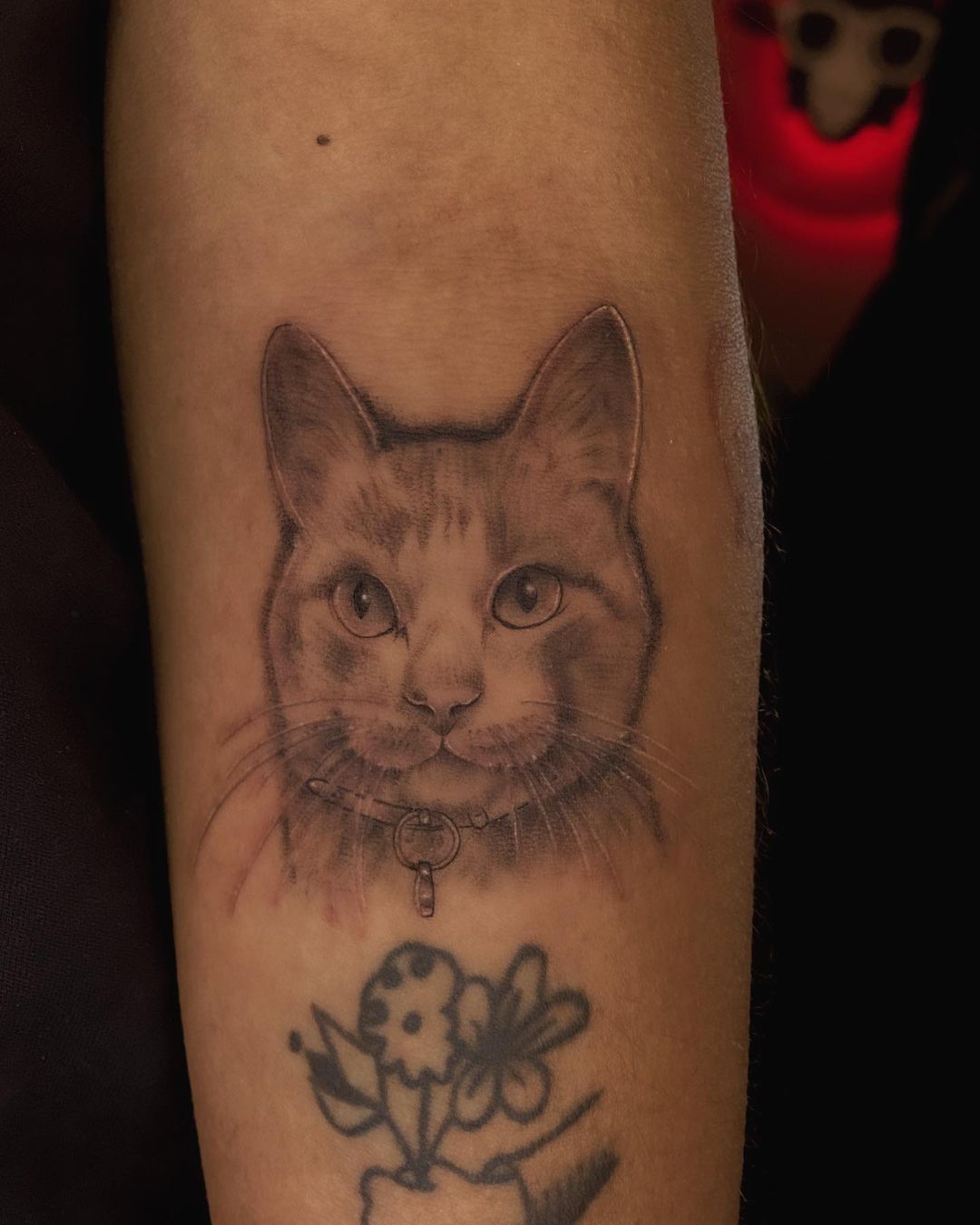 Realistic Black & Gray Cat Arm Tattoo • Tattoodo