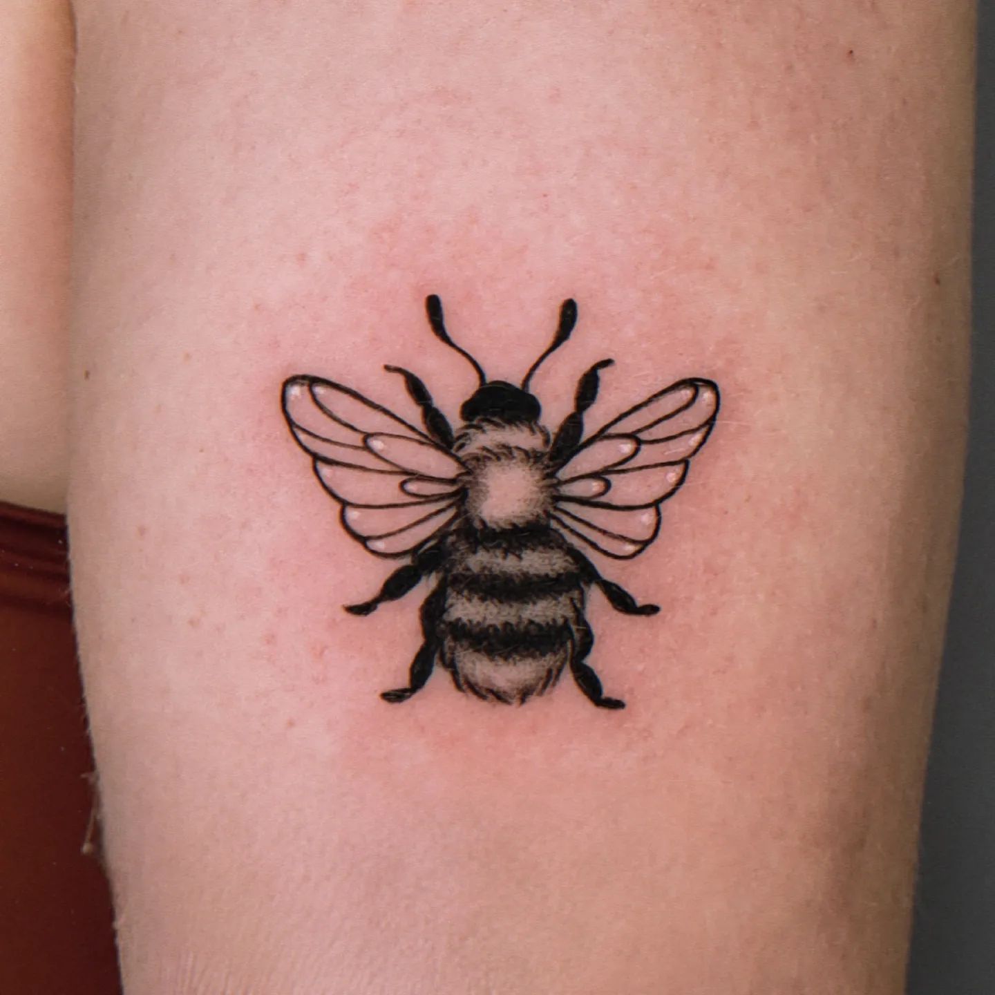 Illustrative Bee Arm Tattoo by Erin • Tattoodo