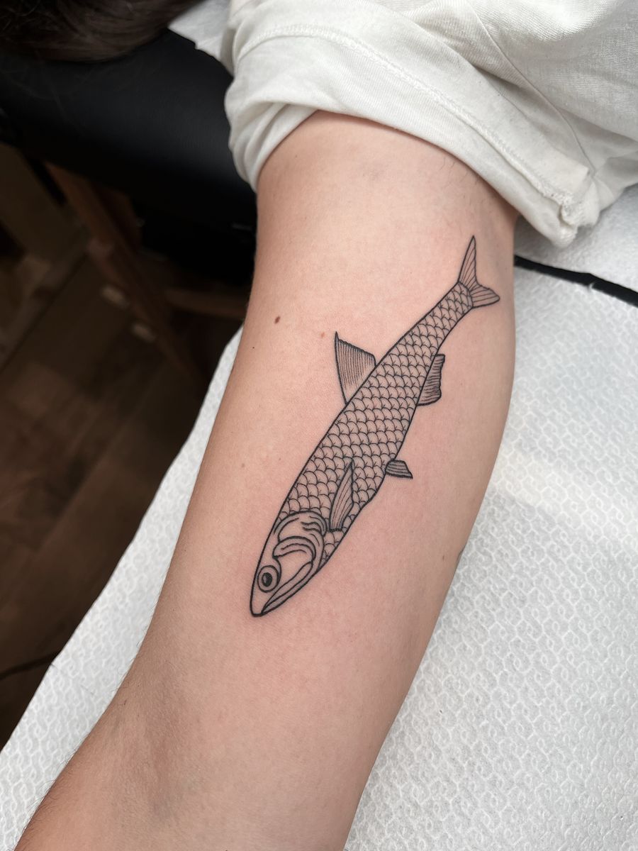 Tattoo uploaded by Nicolò Ferrari • Anchovy Engraving Blackwork @ferra ...