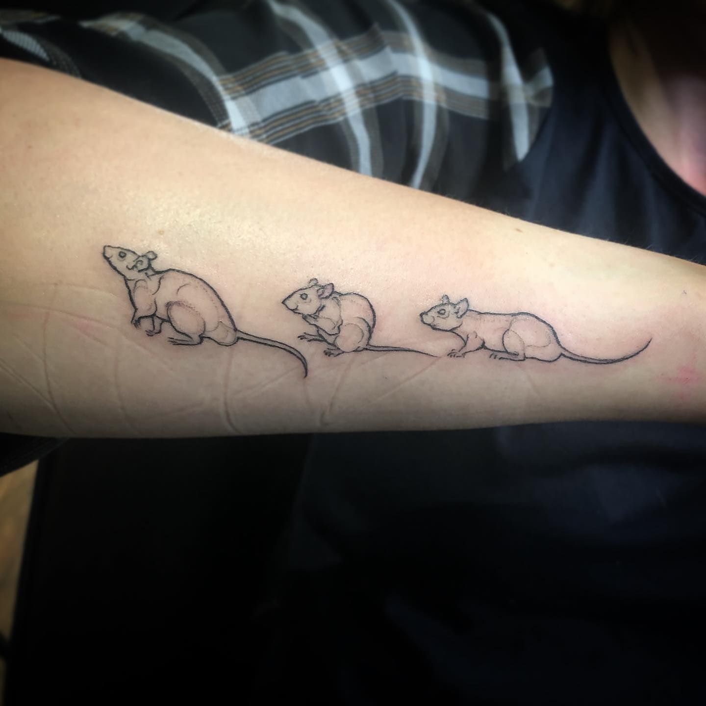 Fine Line Rat Tattoo on Forearm by Aygul • Tattoodo