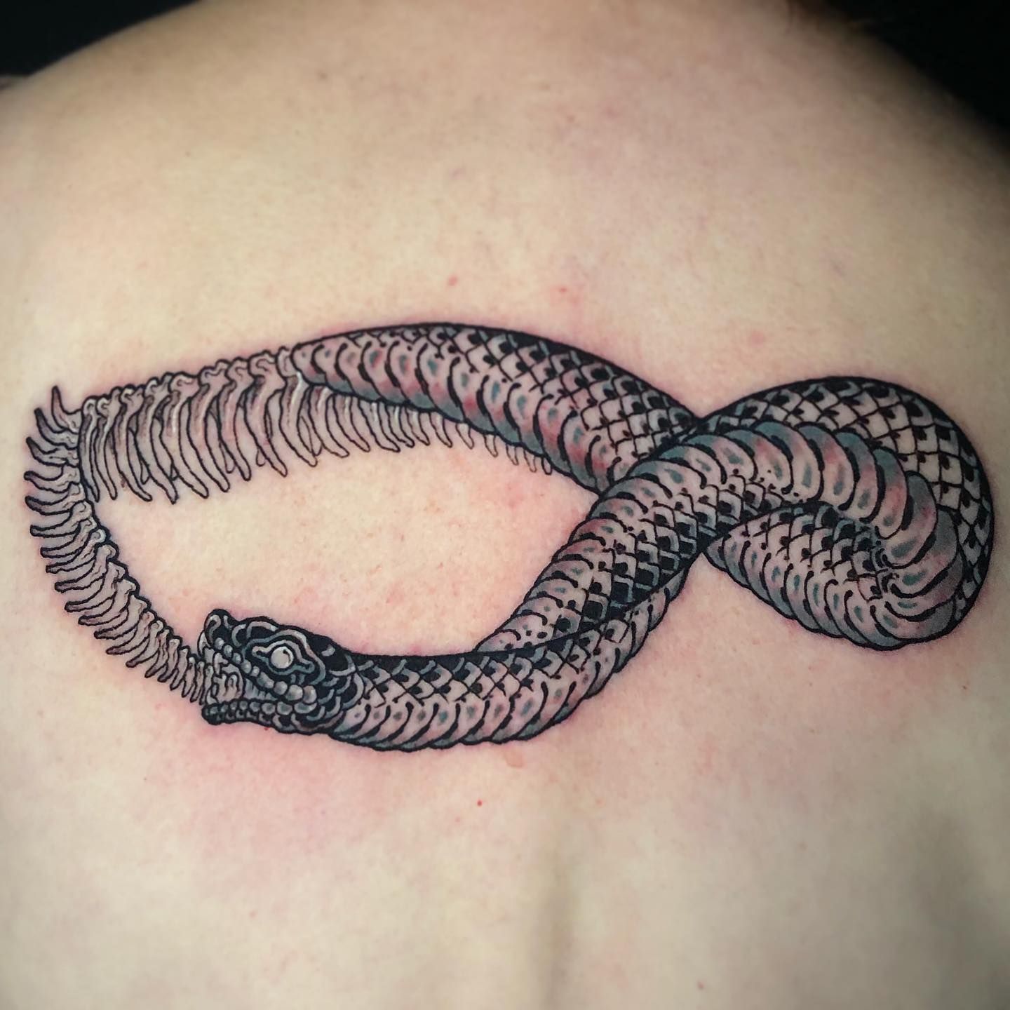 Eternal Cycle: Snake Ouroboros Skeleton • Tattoodo