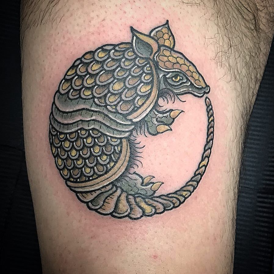 Armadillo Tattoo • Tattoodo