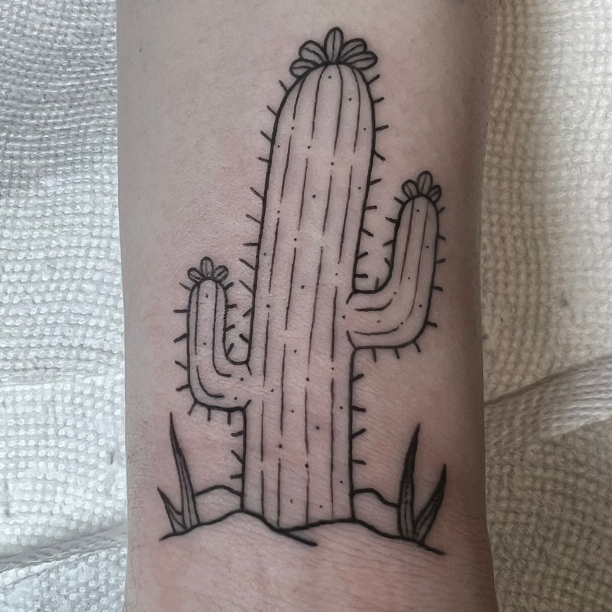 Tattoo uploaded by Manny Perez • Fine line cactus • Tattoodo