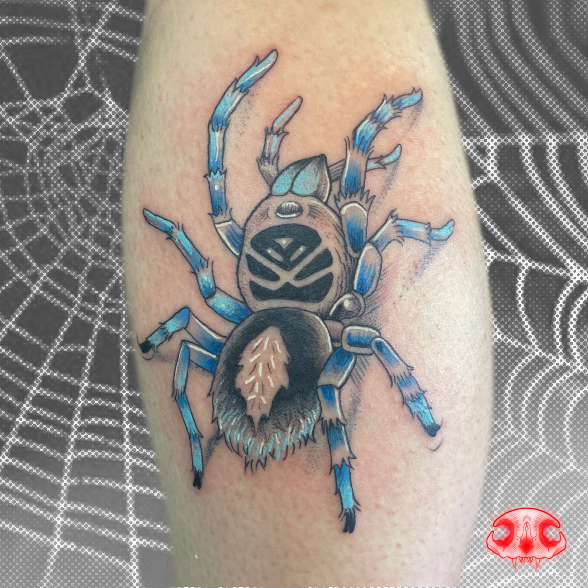 Colorful Spider Tattoo by Drip Skull • Tattoodo