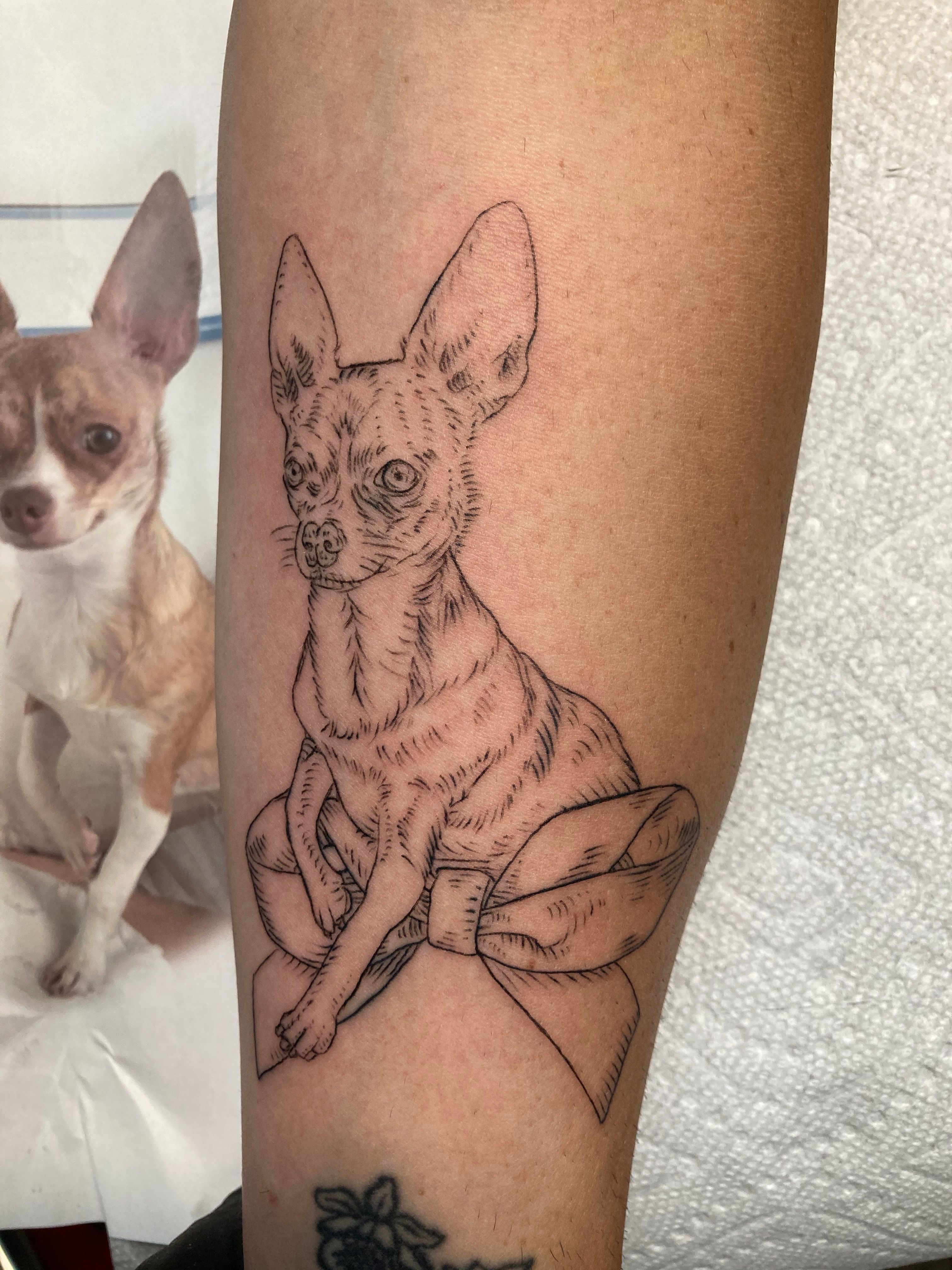Fine Line Dog Portrait by Ermis Atzemoglou • Tattoodo