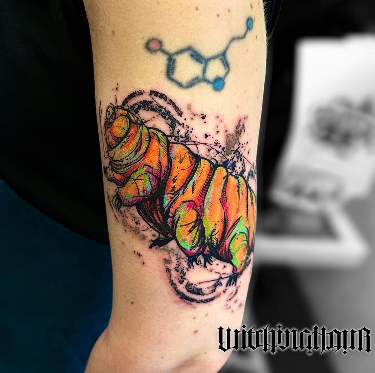 Tattoo uploaded by Bobby Grey • Sketchy color Tardigrade # ...