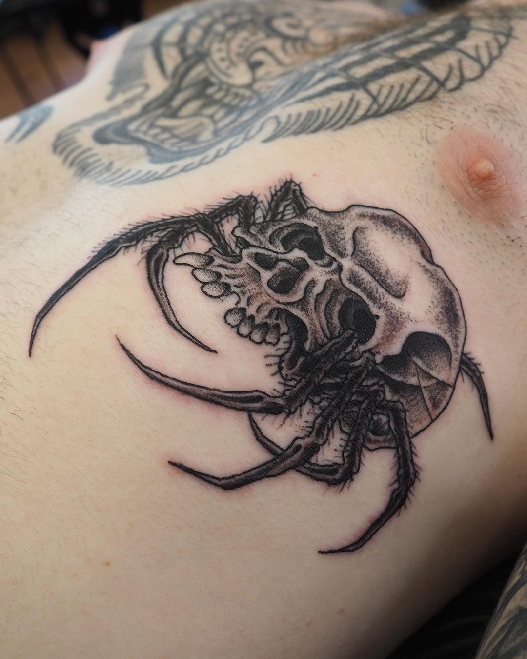 Neo Traditional Spider Skull Tattoo • Tattoodo
