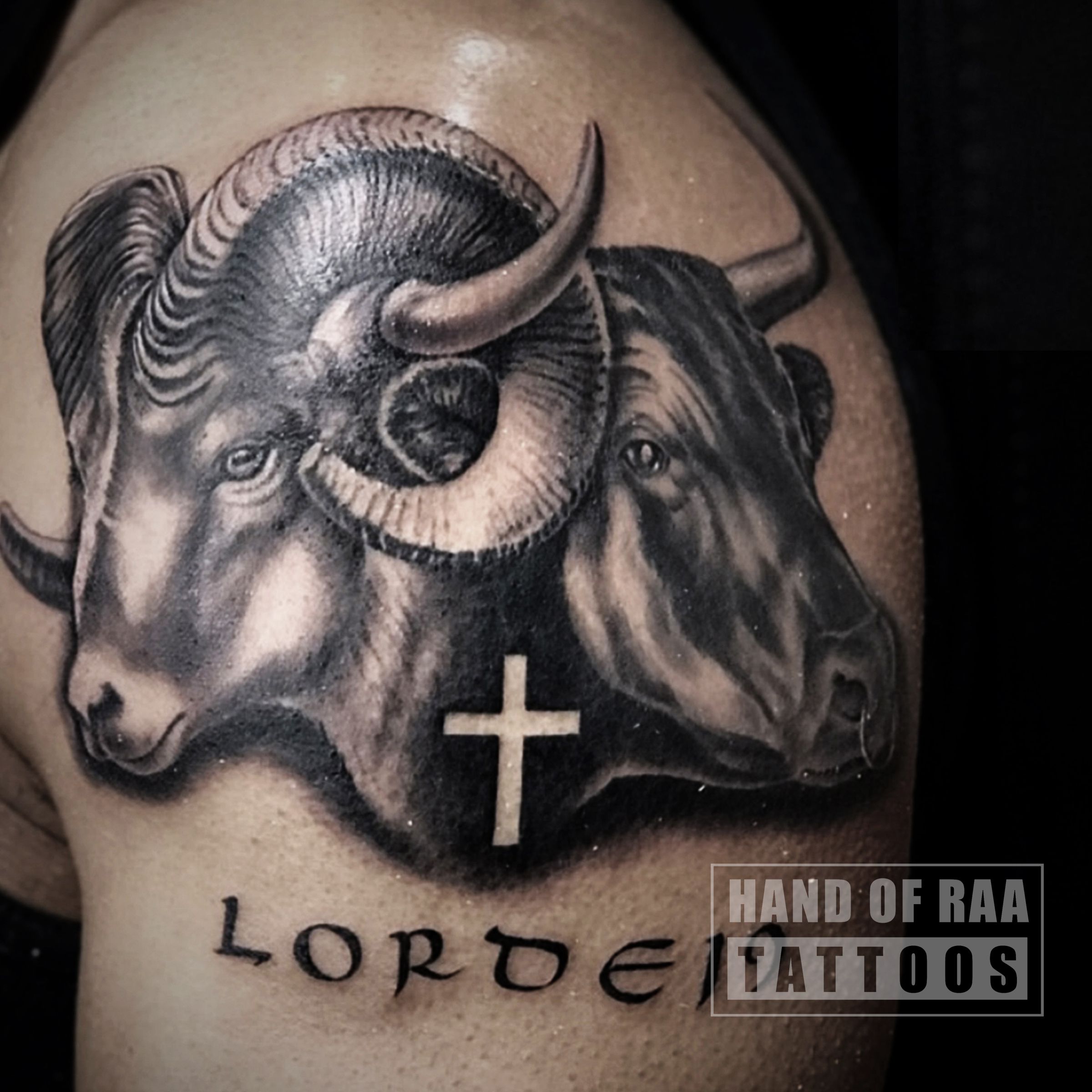 Ram and Bull Tattoo • Tattoodo