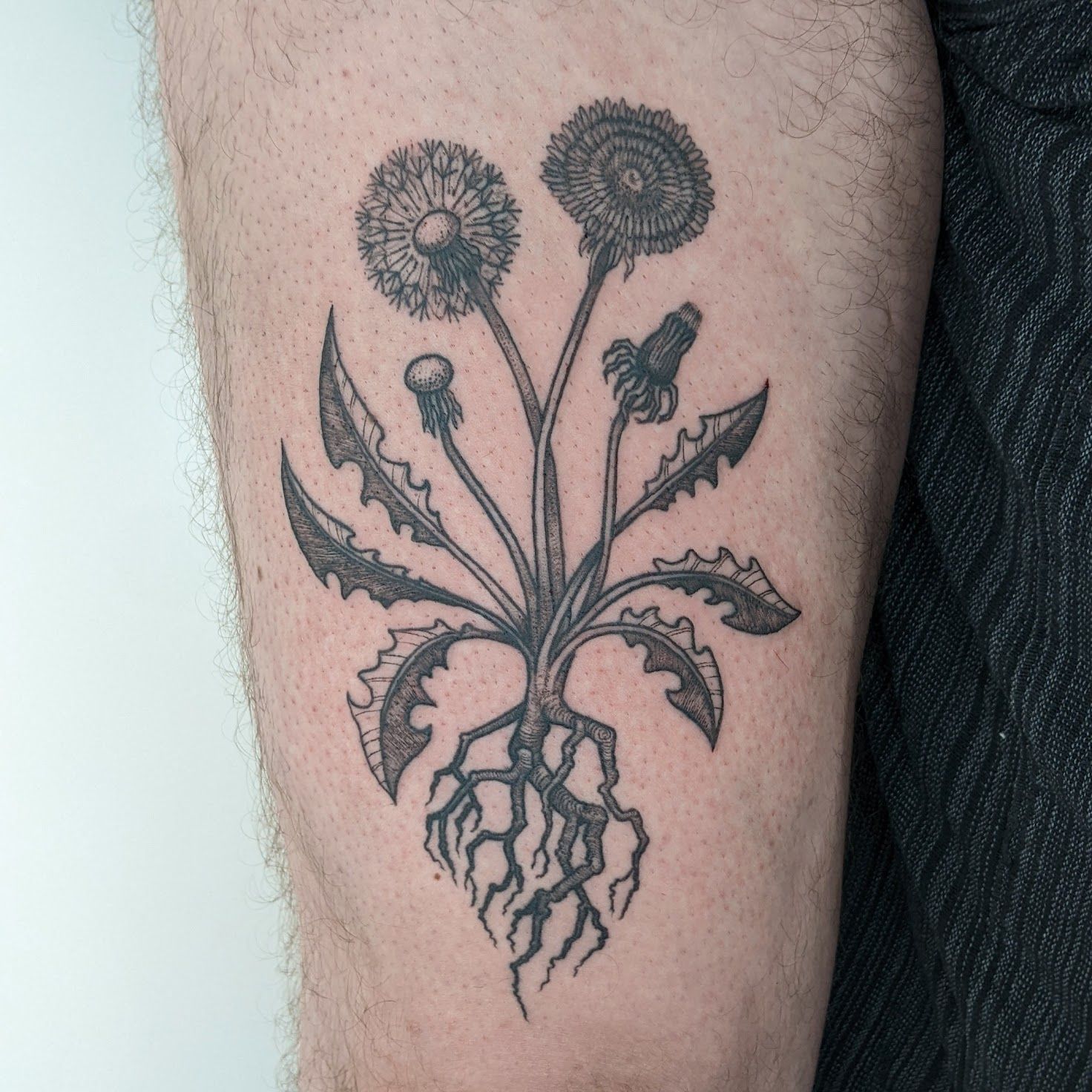 Botanical Dandelion Hand Poke Tattoo • Tattoodo