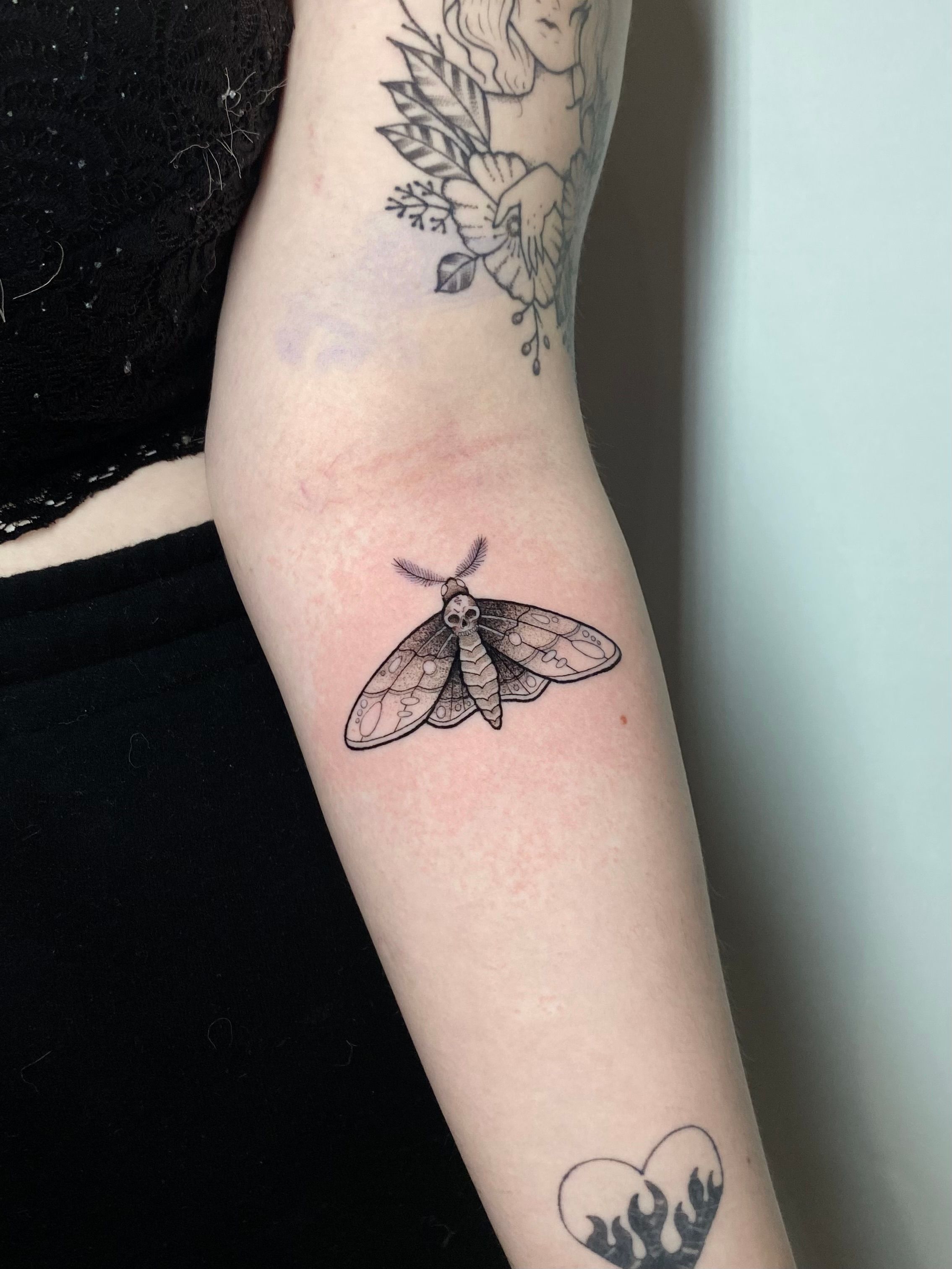 Dotwork moth death tattoo • Tattoodo