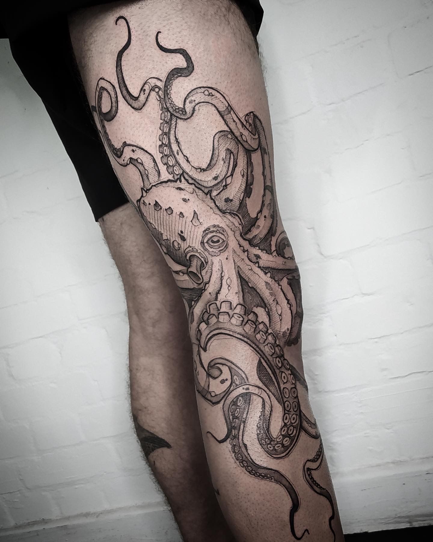 Octopus Leg Tattoo • Tattoodo