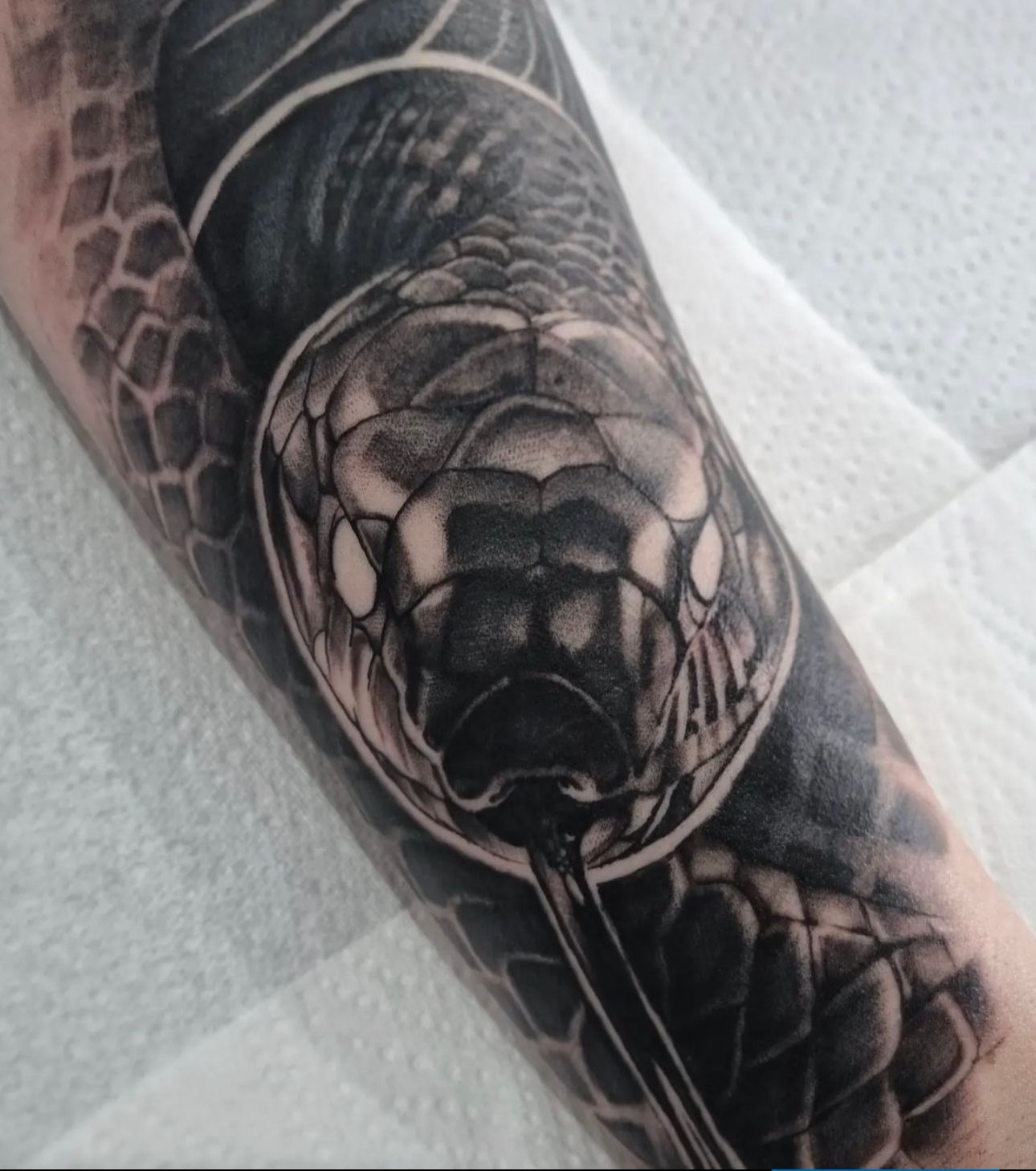 Realistic Snake Tattoo by Joni Smith • Tattoodo