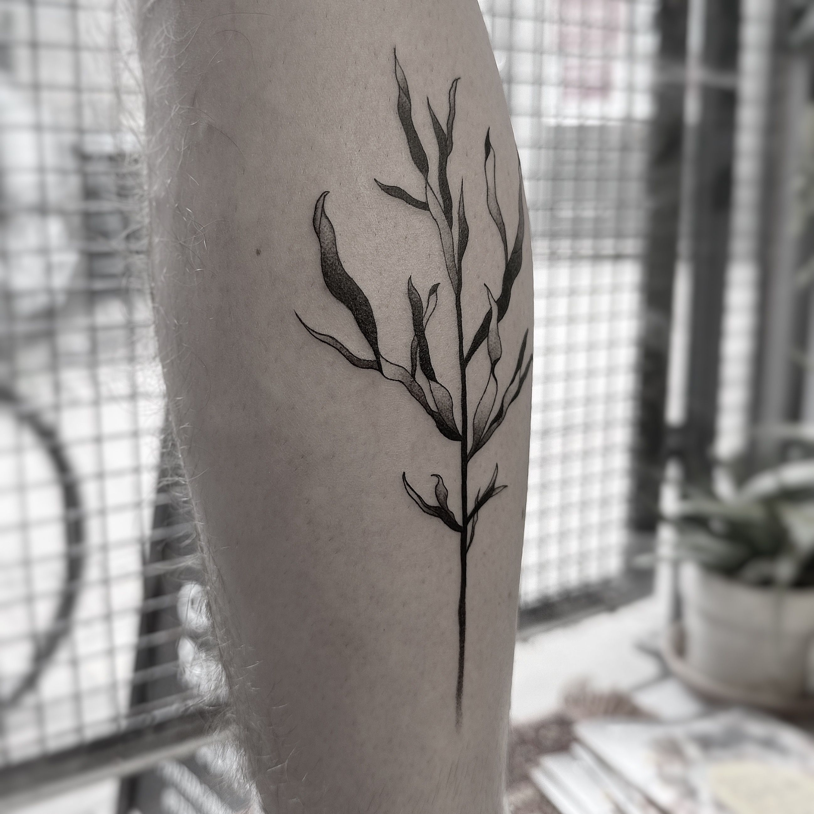 Dotwork Illustrative Branch Tattoo • Tattoodo