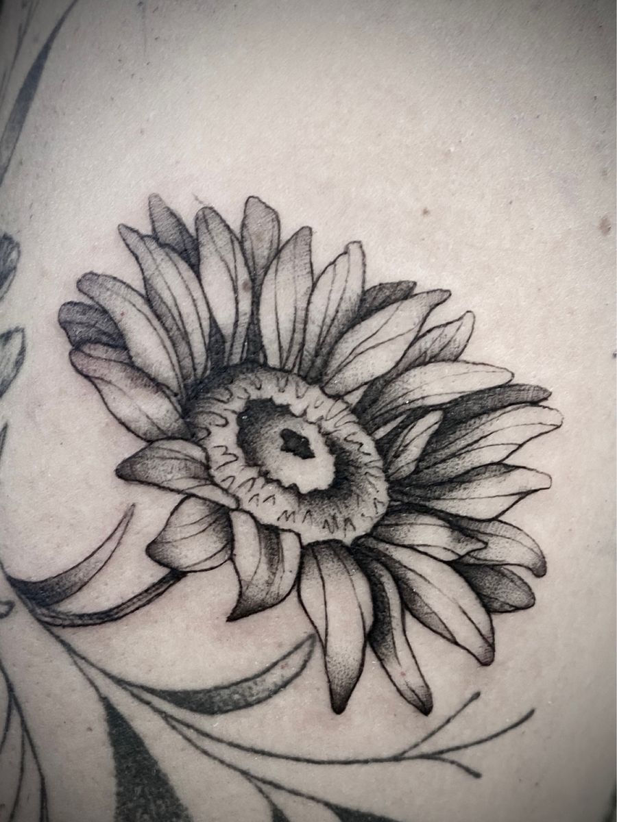 Tattoo uploaded by weninger.ink • fineline sunflower • Tattoodo