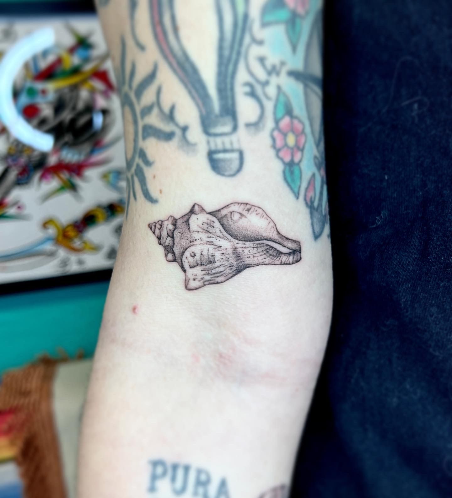 Seashell Tattoo • Tattoodo