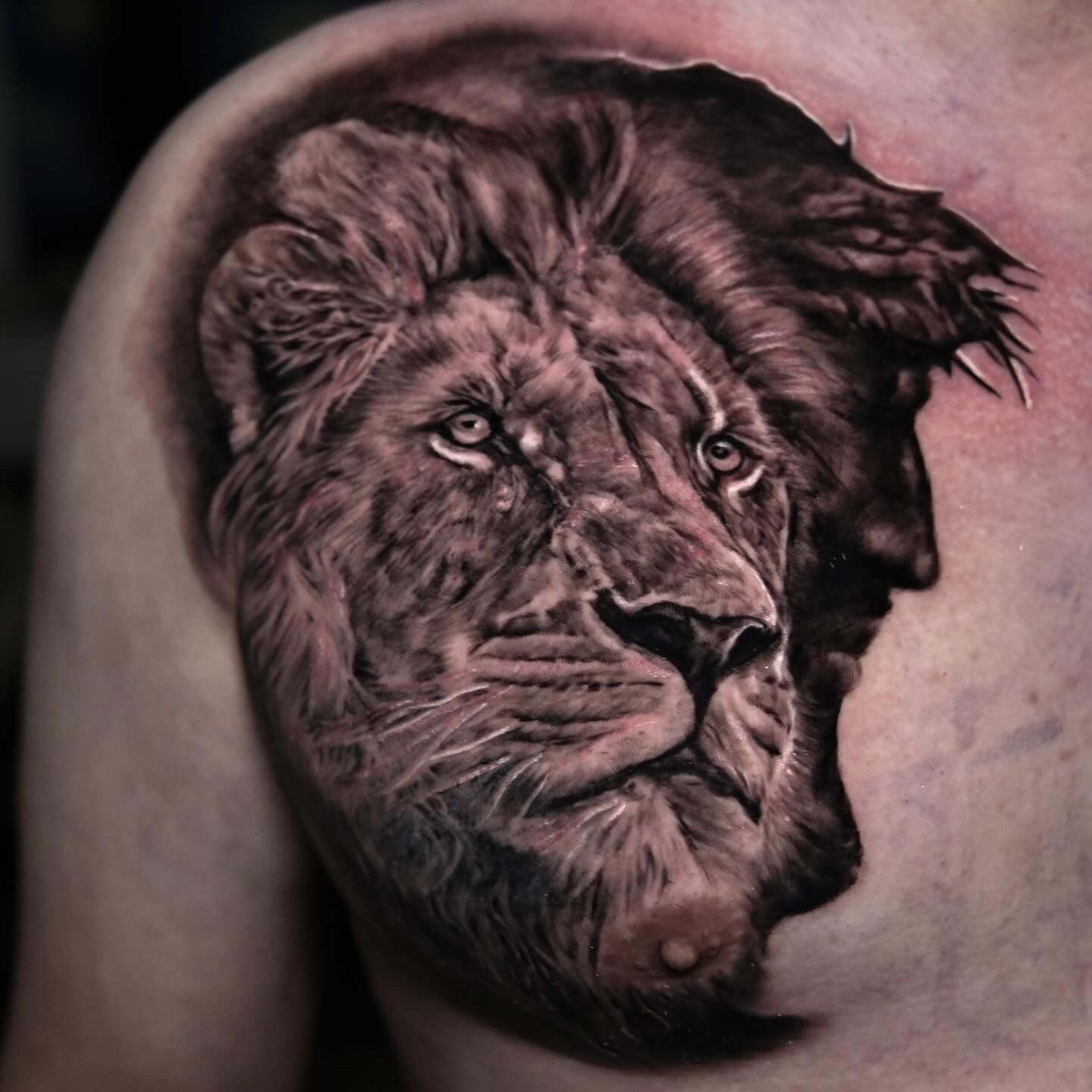 Tattoo uploaded by Barry Ho • Tattoodo