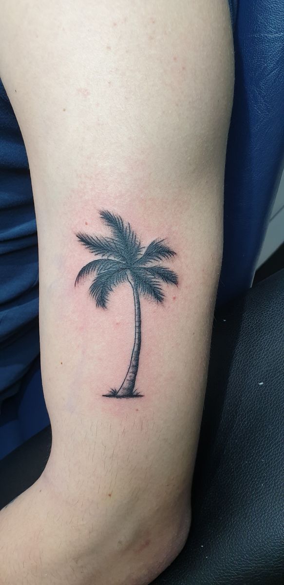 Tattoo uploaded by Jjay • Fine line palm tree • Tattoodo