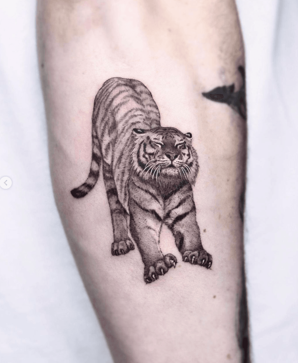 Tattoo uploaded by Sana • Fine line tiger tattoo • Tattoodo