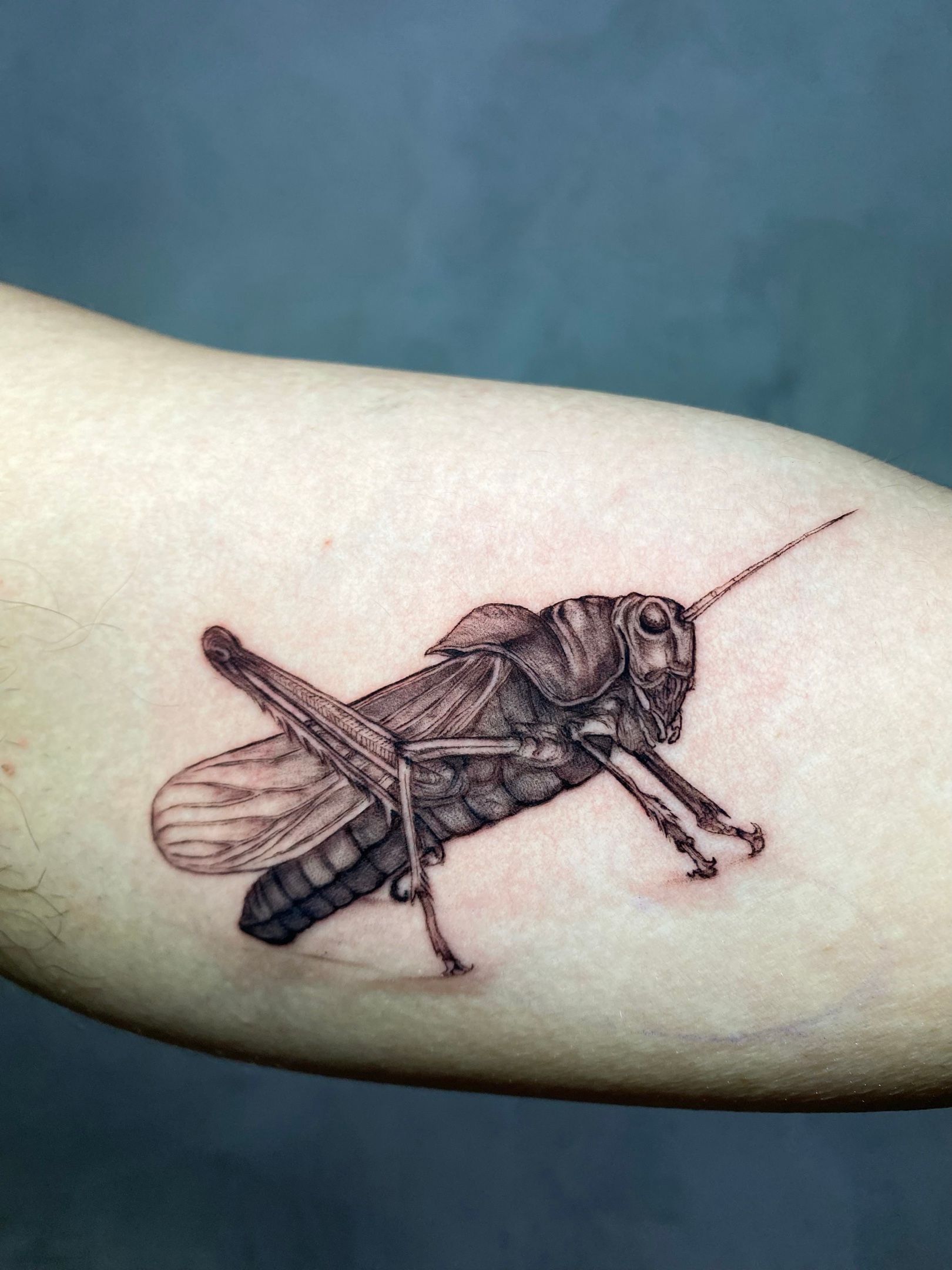 Tattoo uploaded by Scarllet tattoo • Tattoodo