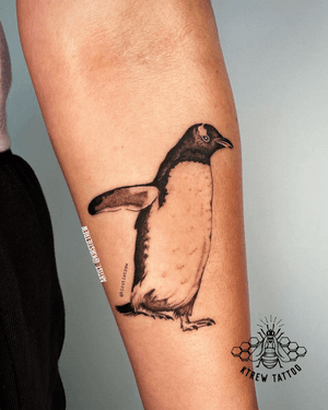Tattoo uploaded by Kirstie Trew • Blackwork / Fine line Penguin tattoo ...