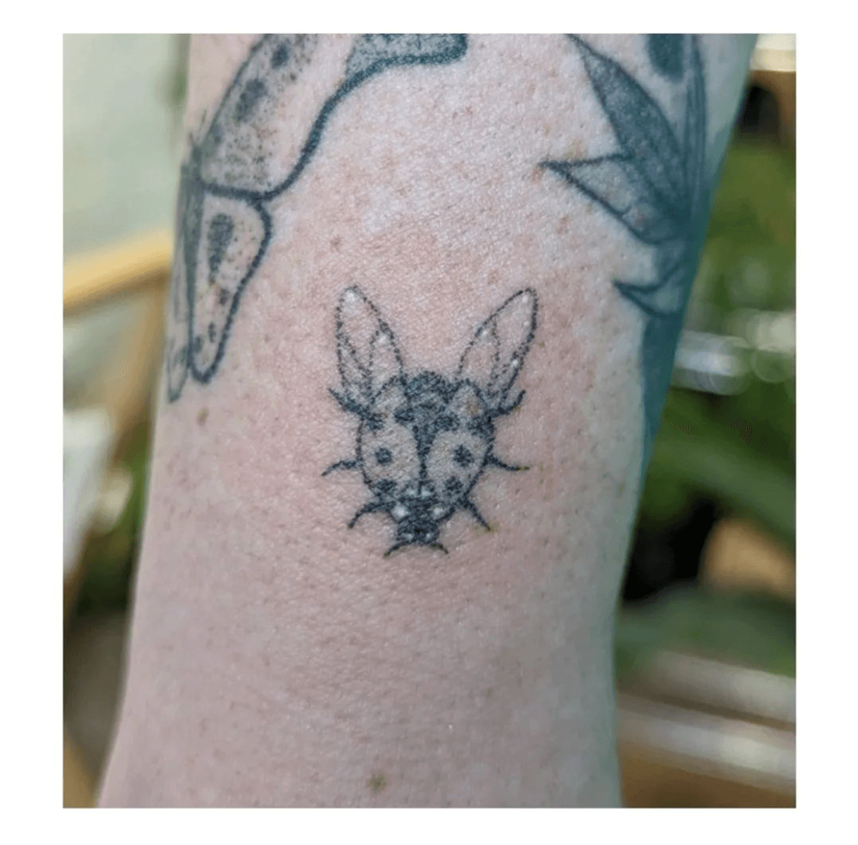 Tattoo uploaded by Kelly Needles • Ladybug • Tattoodo