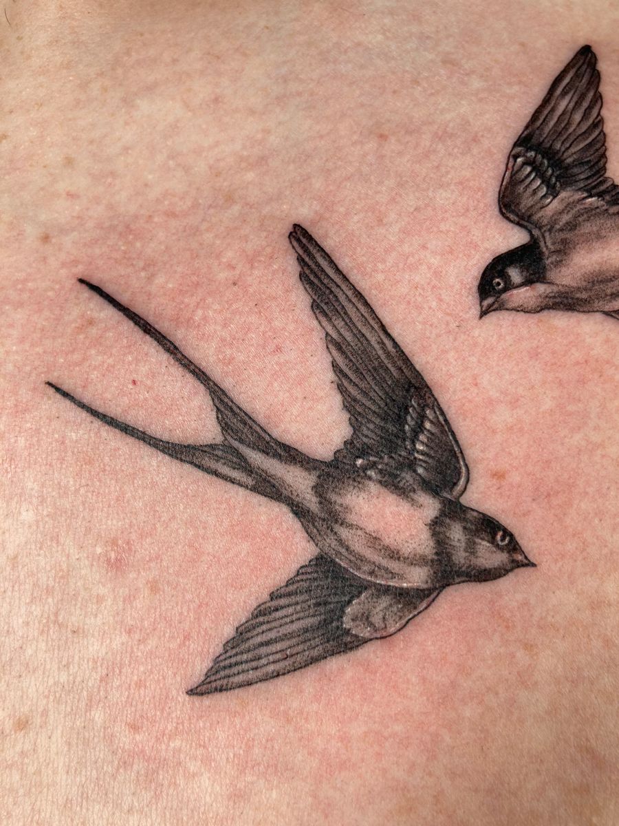 Tattoo uploaded by Gee • Microrealistic - black and grey - Swallow ...