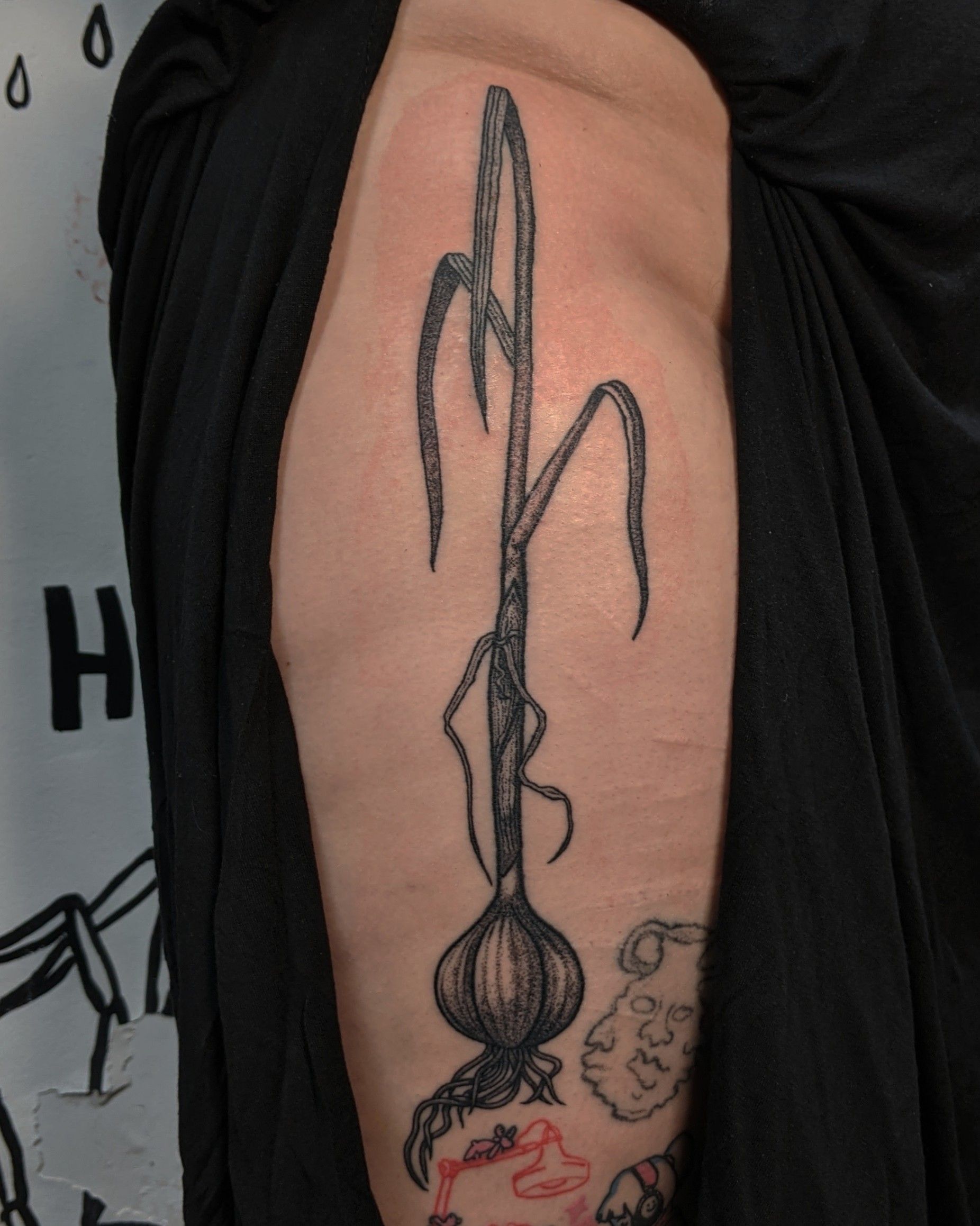Garlic Galore: A Unique Hand-Poked Blackwork Tattoo • Tattoodo