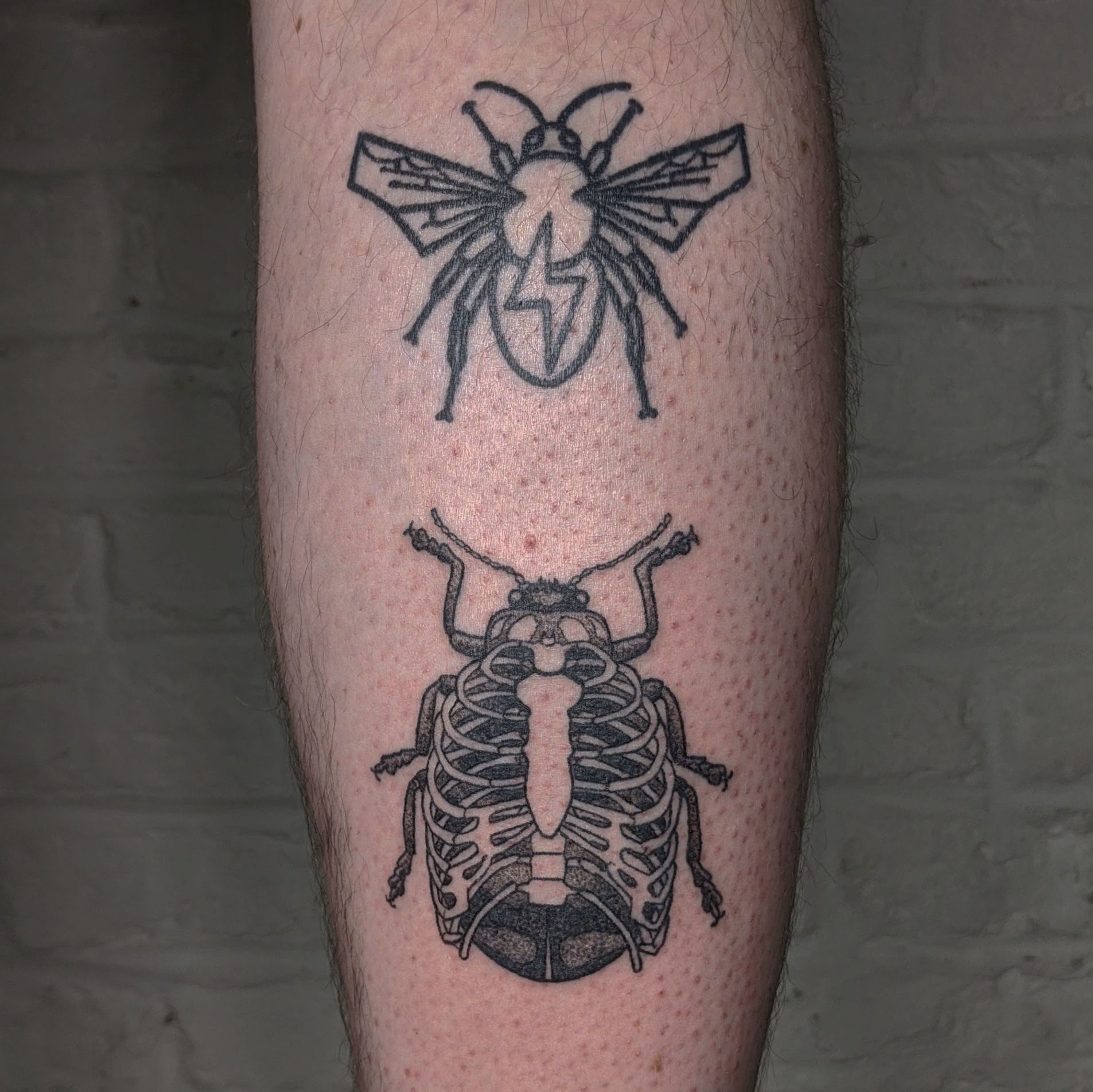 Insect Pair • Tattoodo
