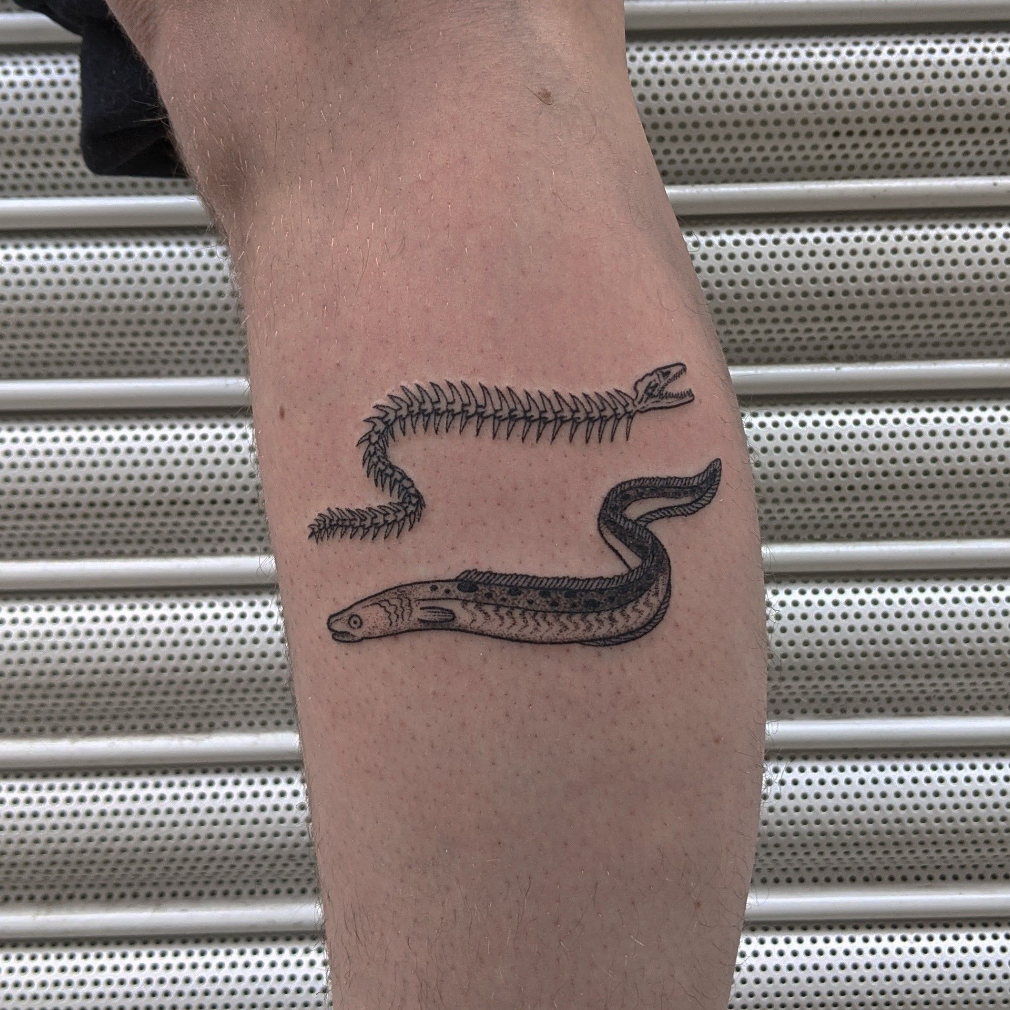 Eel and Skeleton Tattoo • Tattoodo