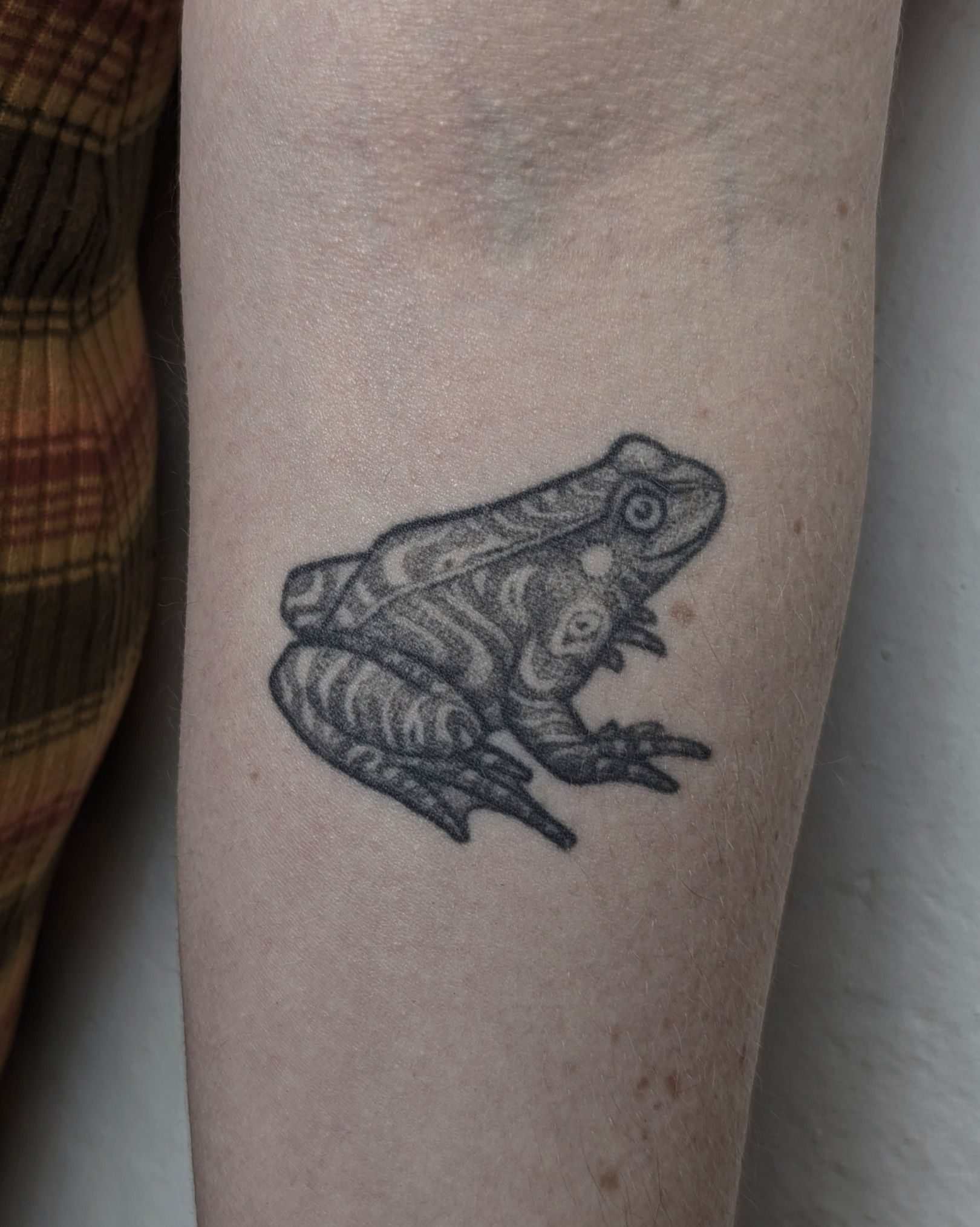 Frog Dotwork Hand Poke by Alien Ink • Tattoodo