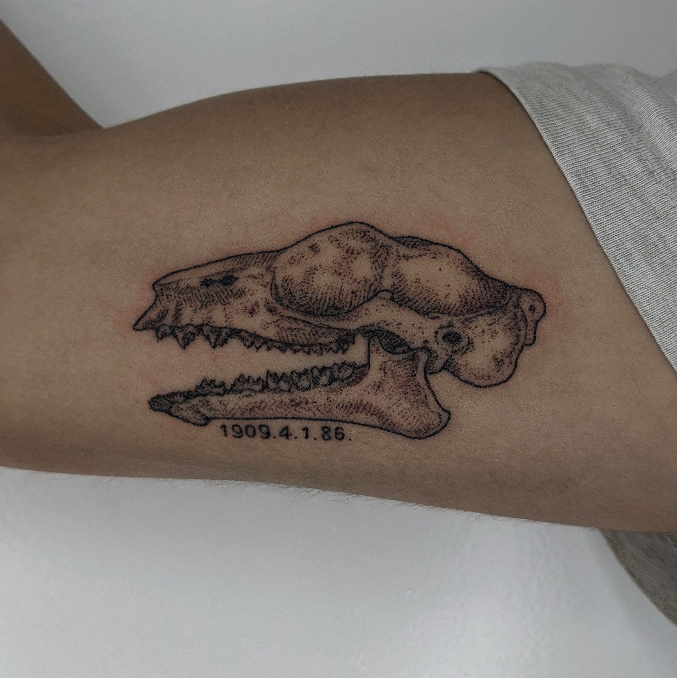 Illustrative Skull Tattoo by Alien Ink • Tattoodo