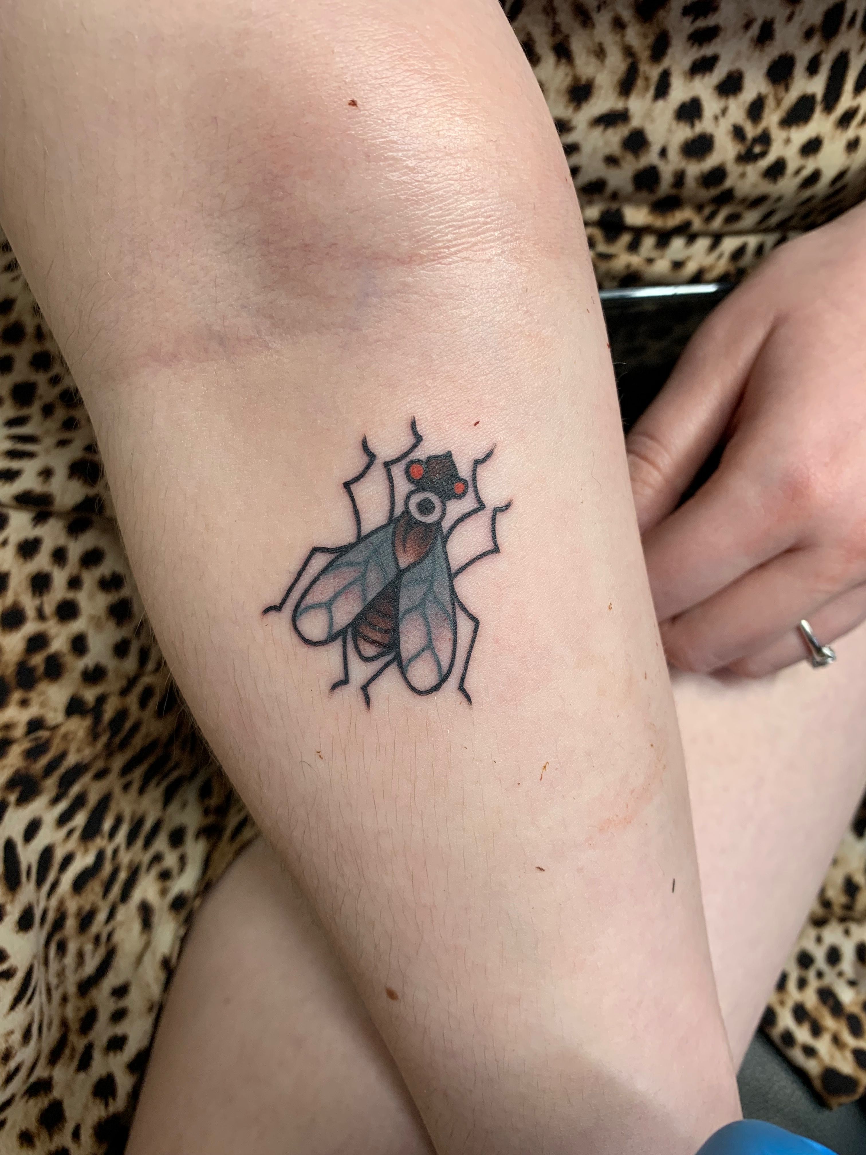 Traditional Fly Tattoo by Laurel • Tattoodo