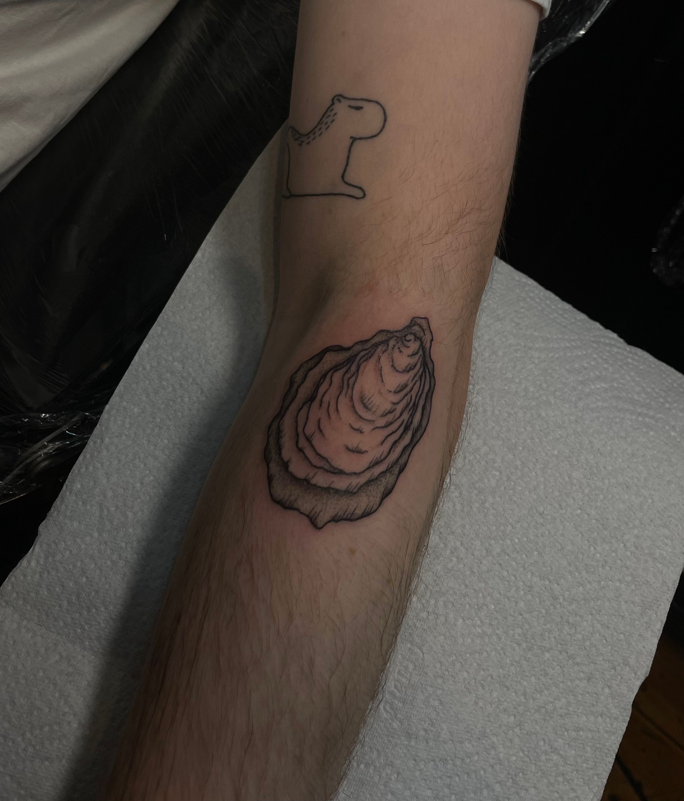 Illustrative Conch Shell Tattoo • Tattoodo