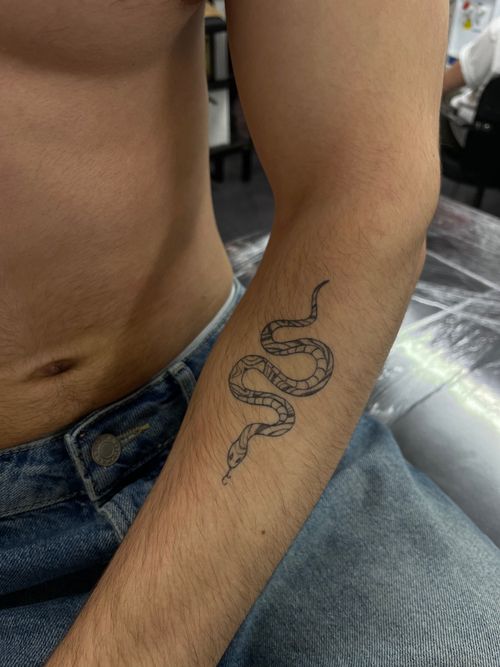 Coiled Snake Tattoo • Tattoodo