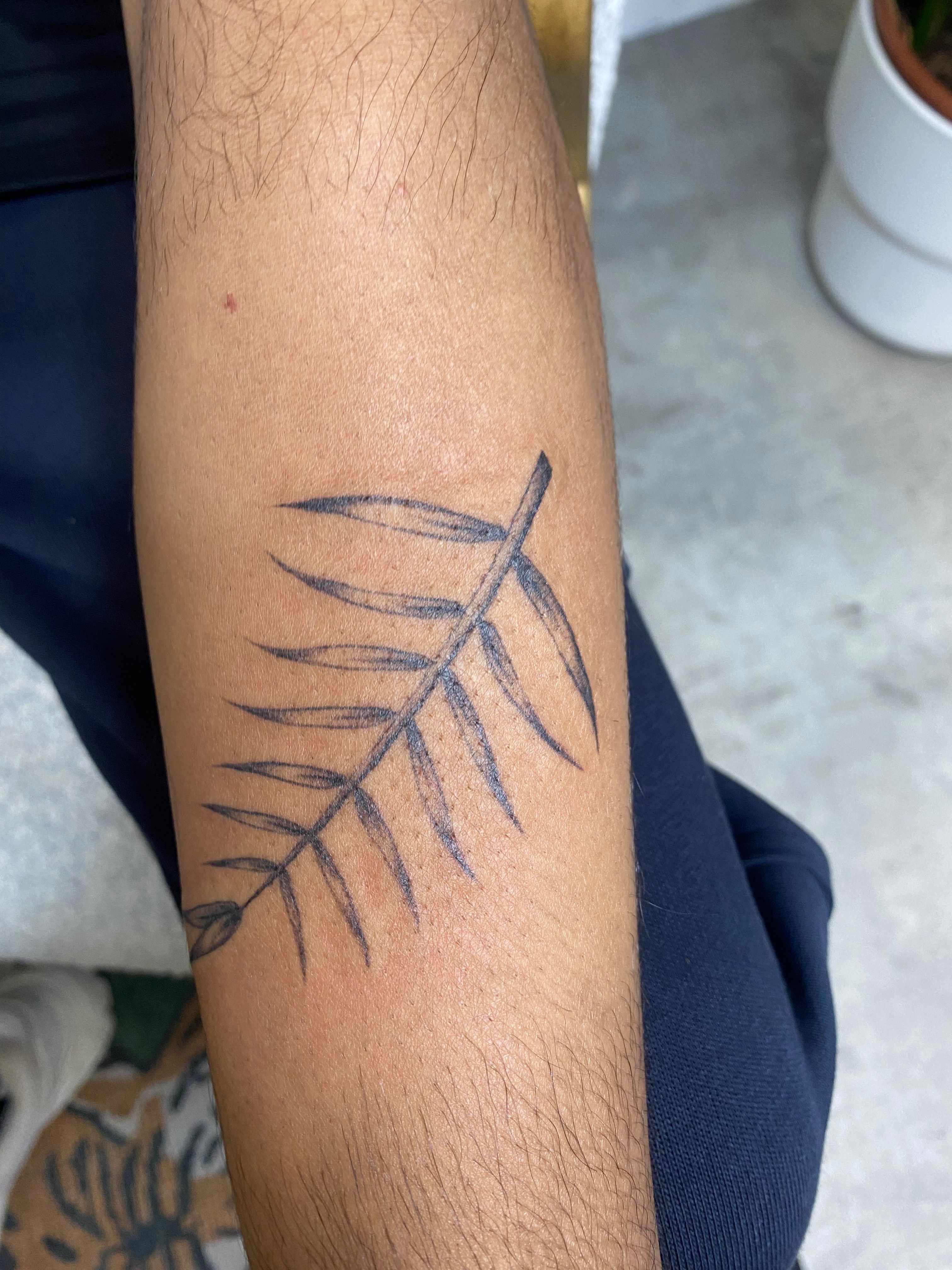 Illustrative Branch Tattoo by Charlie Macarthur • Tattoodo